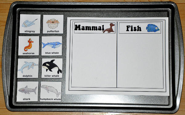 Mammal or Fish Sort Cookie Sheet Activity - $1.00 : File Folder Games ...